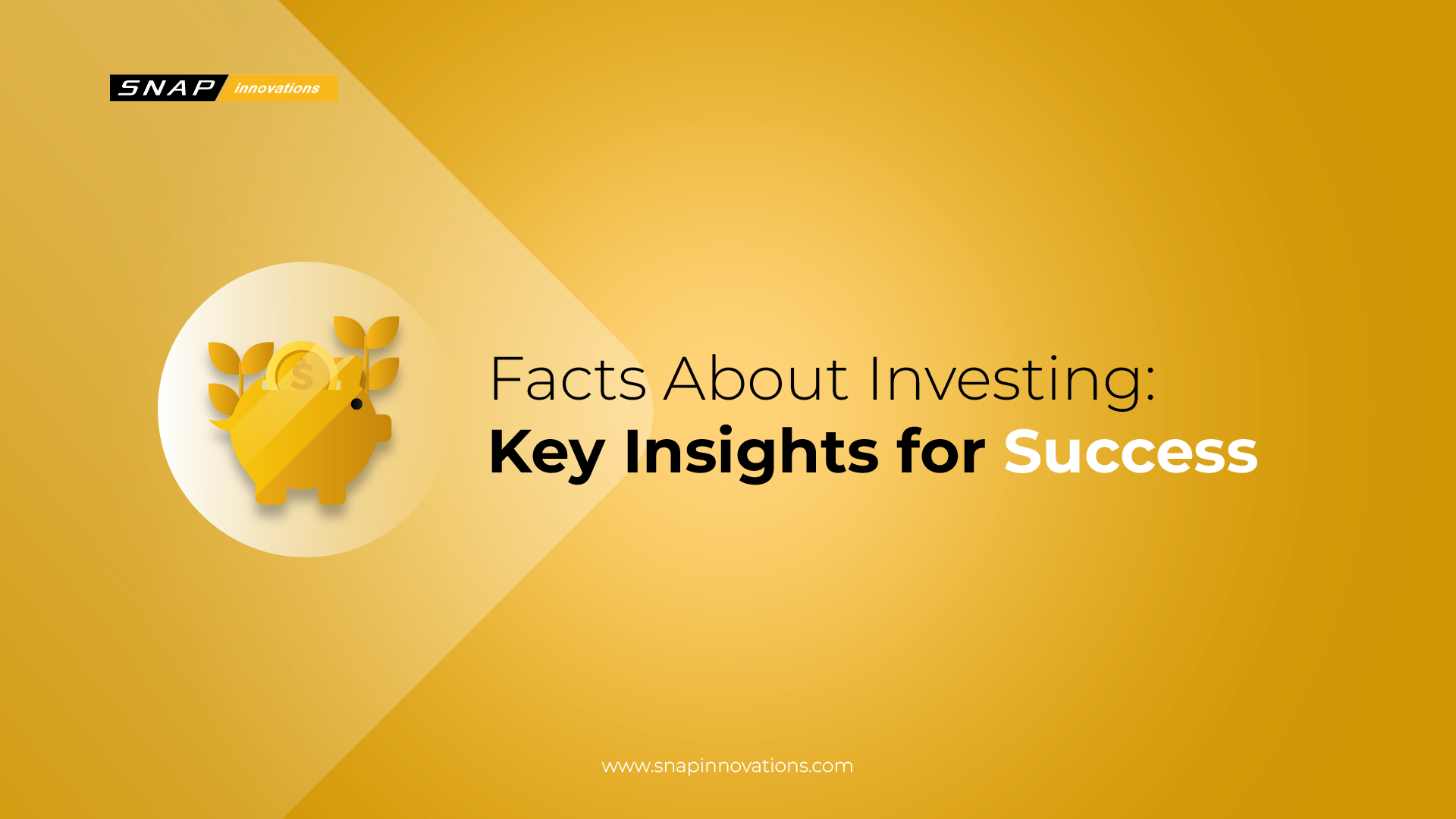 Facts & Trends About Investing You Should Know - Snap Innovations