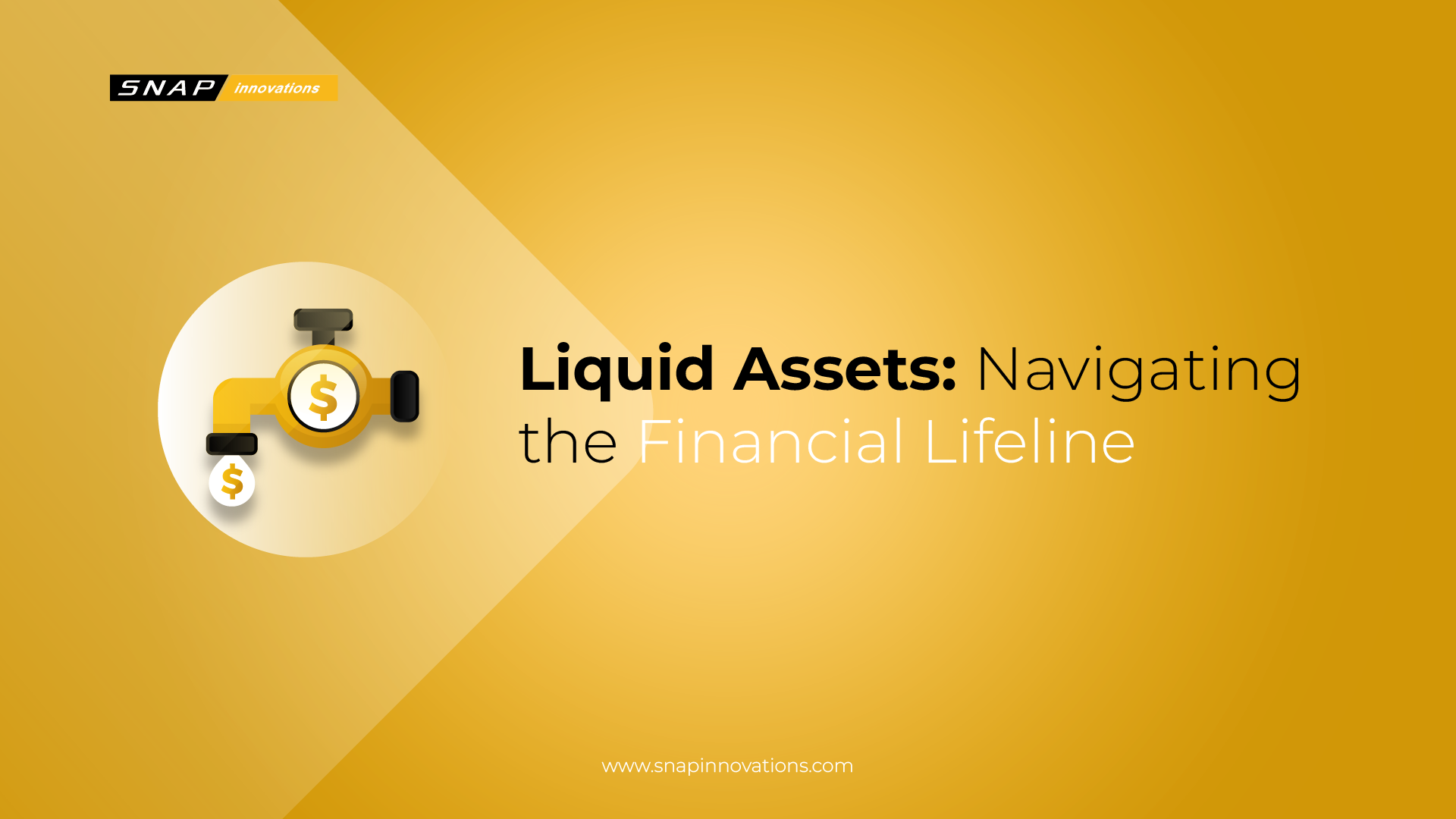 What Are Liquid Assets? The Financial Lifeline - Snap Innovations