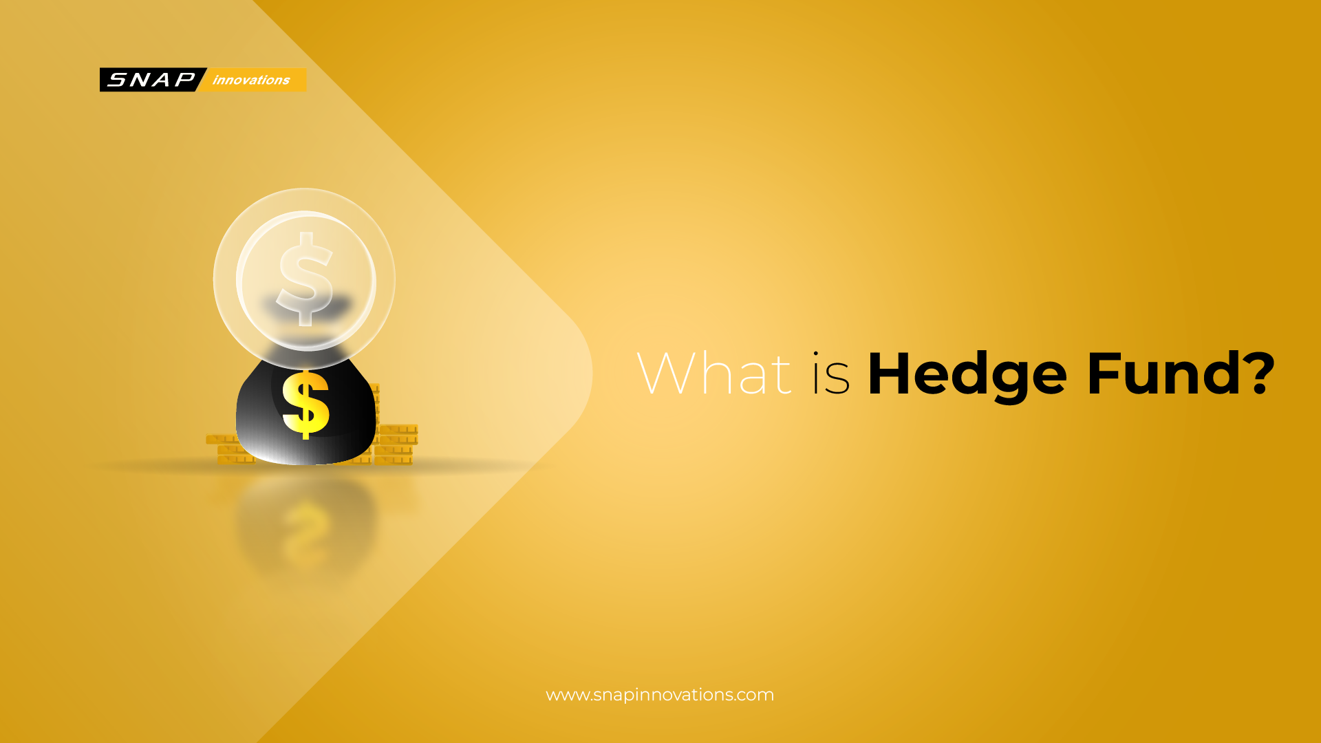 What is Hedge Fund? A Comprehensive Guide - Snap Innovations