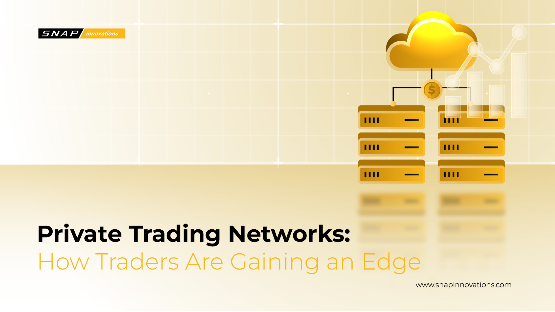 What is a Private Trading Network? A Comprehensive Guide - Snap Innovations